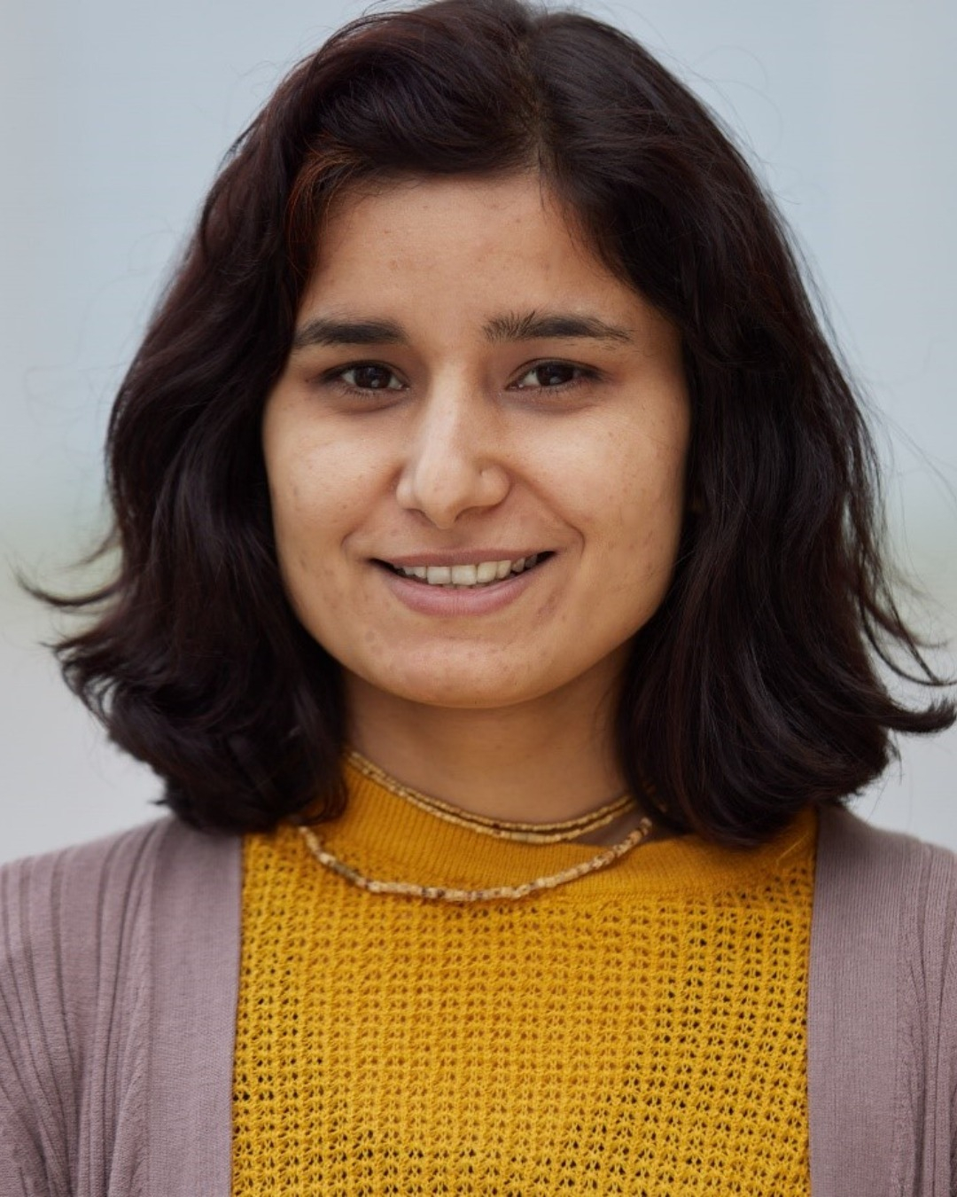 Highlights Fellows – Gneus